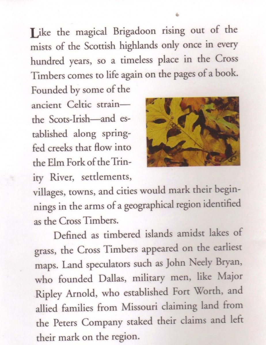 The Little Town that Could | Joyce Gibson Roach